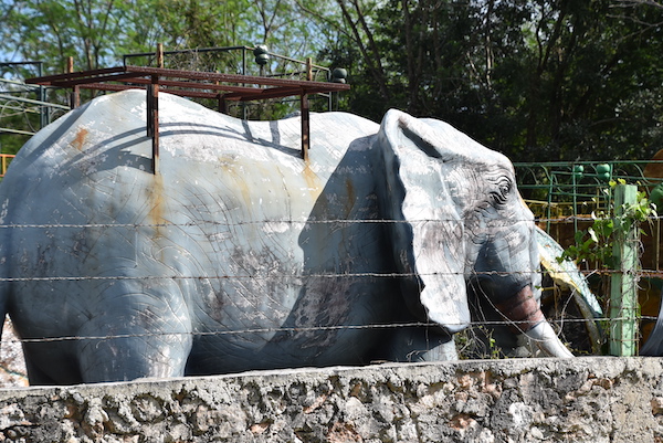 Merida Is WILD! - Mark And Chuck's Adventures